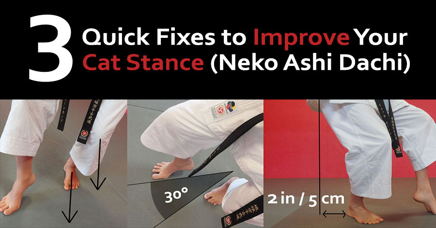 3 Secrets to Improve Your Cat Stance (Neko Ashi Dachi)