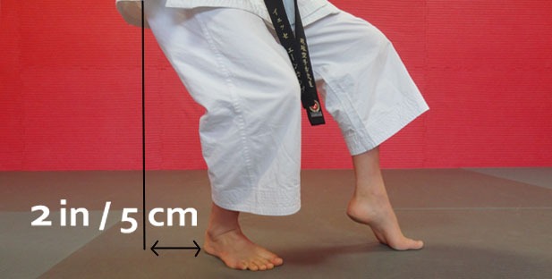 3 Secrets to Improve Your Cat Stance (Neko Ashi Dachi)